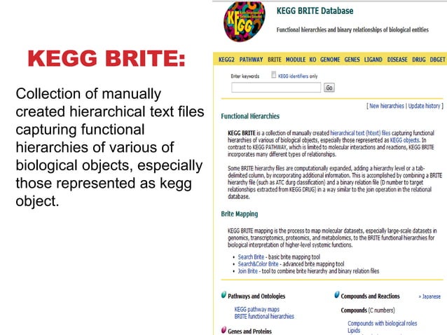 Kegg database resources | PPTX