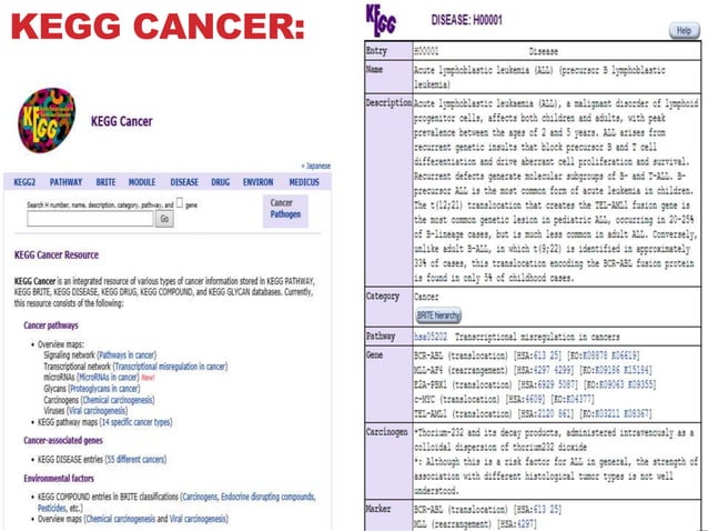 Kegg database resources | PPTX