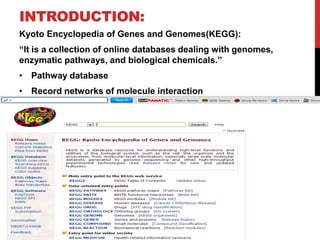 Kegg database resources | PPTX
