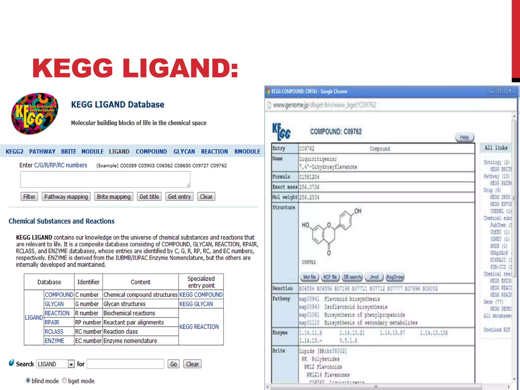 Kegg database resources | PPTX | Databases | Computer Software and Applications