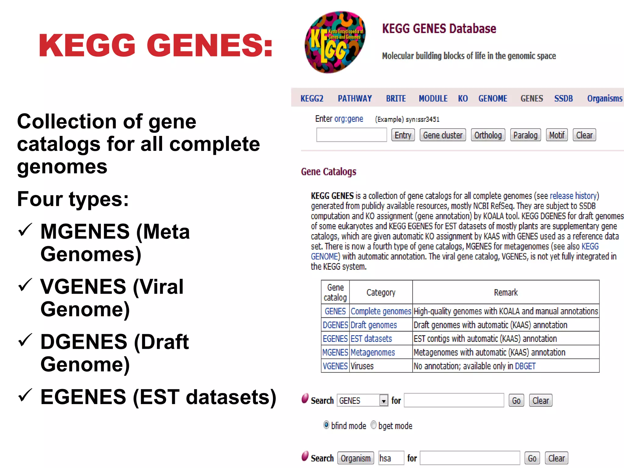 Kegg database resources | PPTX | Databases | Computer Software and Applications