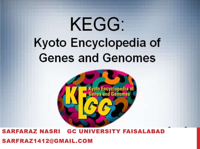 Kegg database resources | PPTX | Databases | Computer Software and ...