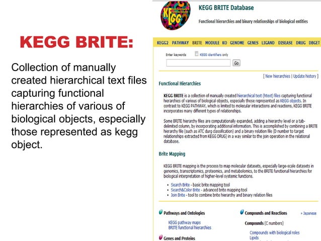 Kegg database resources | PPTX | Databases | Computer Software and Applications