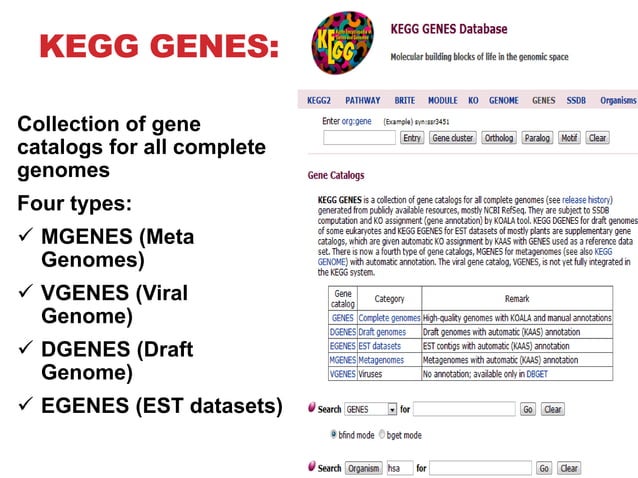 Kegg database resources | PPTX | Databases | Computer Software and ...