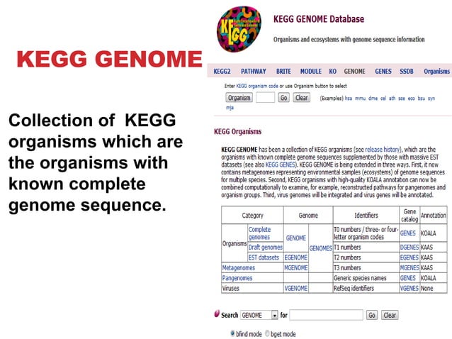 Kegg database resources | PPTX | Databases | Computer Software and Applications