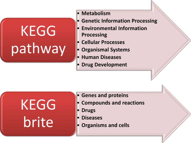 Kegg databse | PPTX