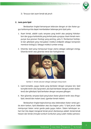 Proses Pencernaan dan Metabolisme Lipin | PDF