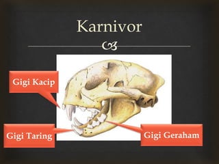 Kegigian haiwan | PPTX