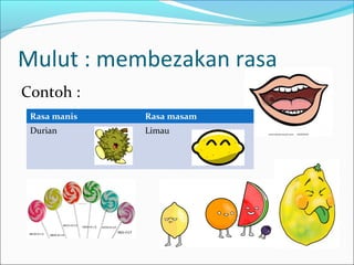 Kehandalan deria~ | PPS