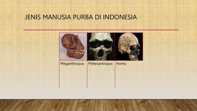 Kehidupan manusia purba dan asal usul nenek moyang bangsa Indonesia.pptx