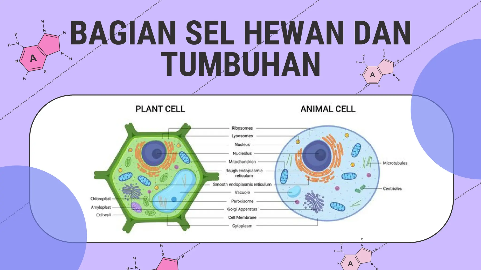 Mengenal Kehidupan dalam Sel (Tugas Biologi) | PPT