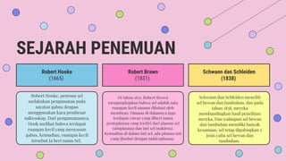 Mengenal Kehidupan dalam Sel (Tugas Biologi) | PDF