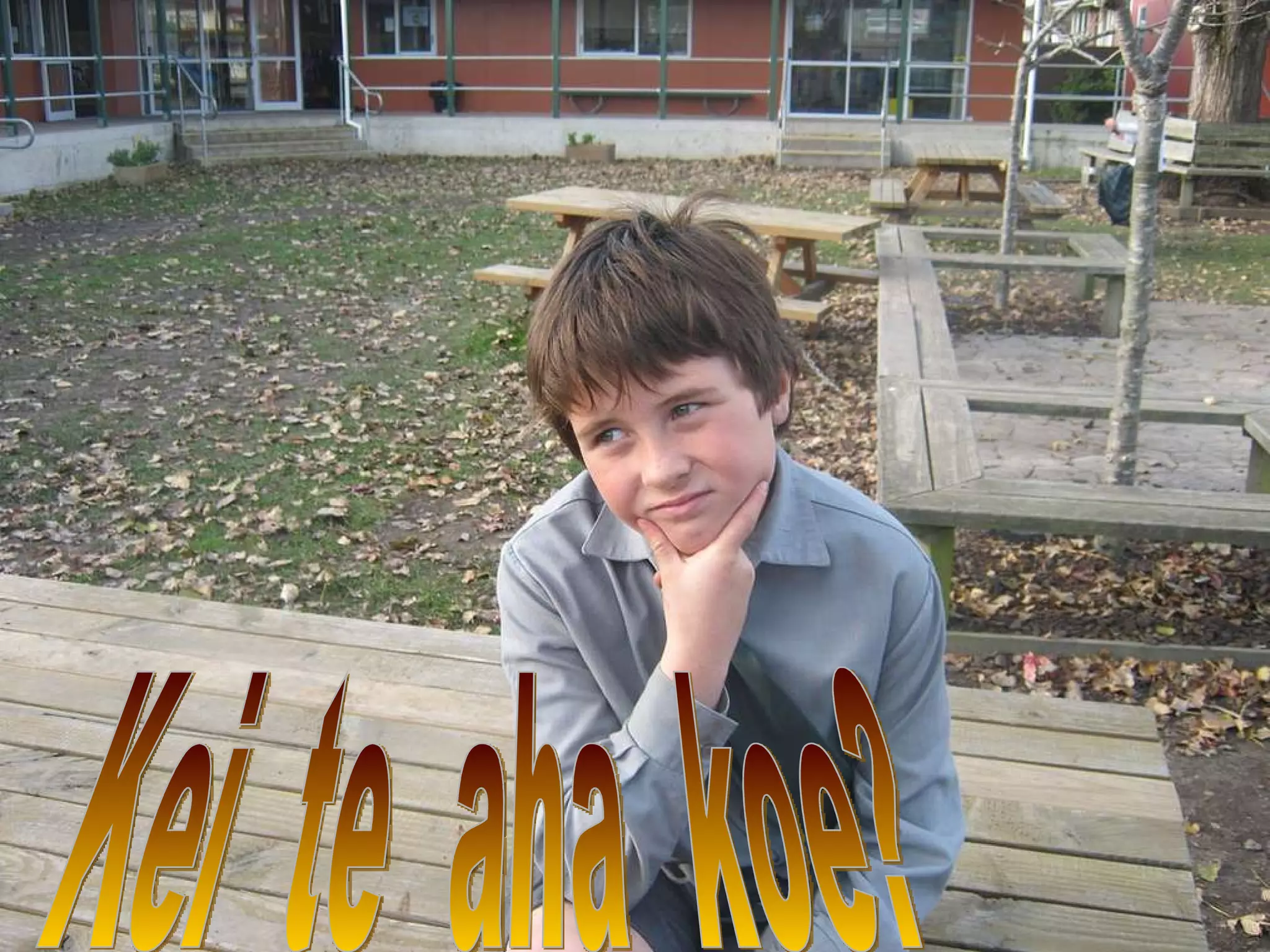 Kei te aha koe? by Jed | PPT