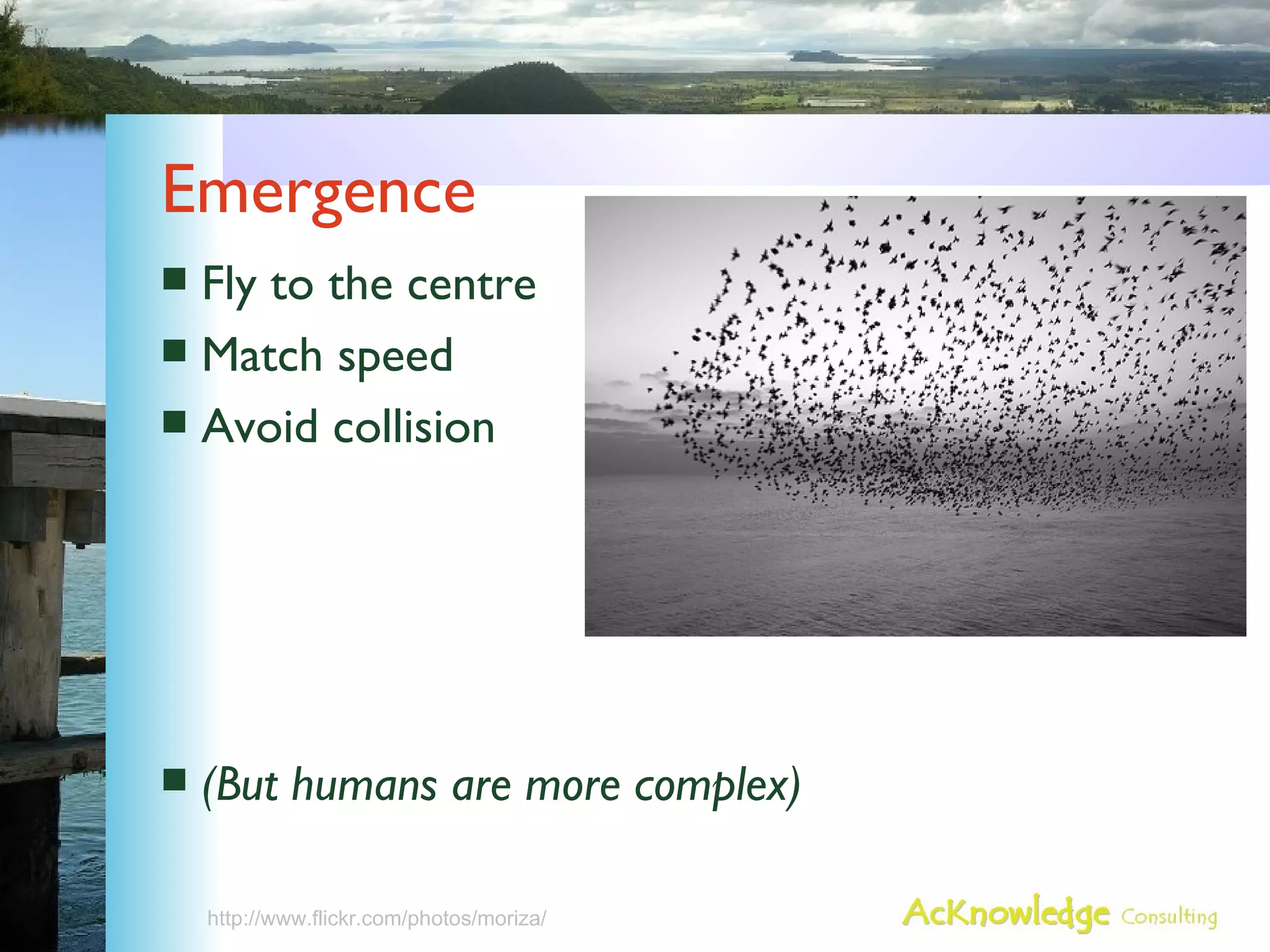 Understanding complexity - The Cynefin framework | PPT