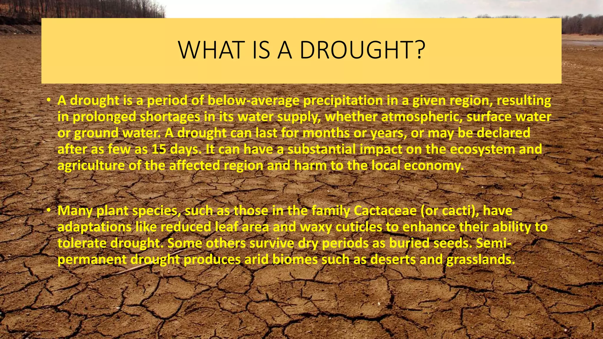 Keiths drought ppt | PPTX