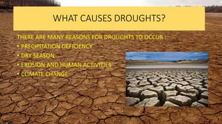 Keiths drought ppt | PPTX