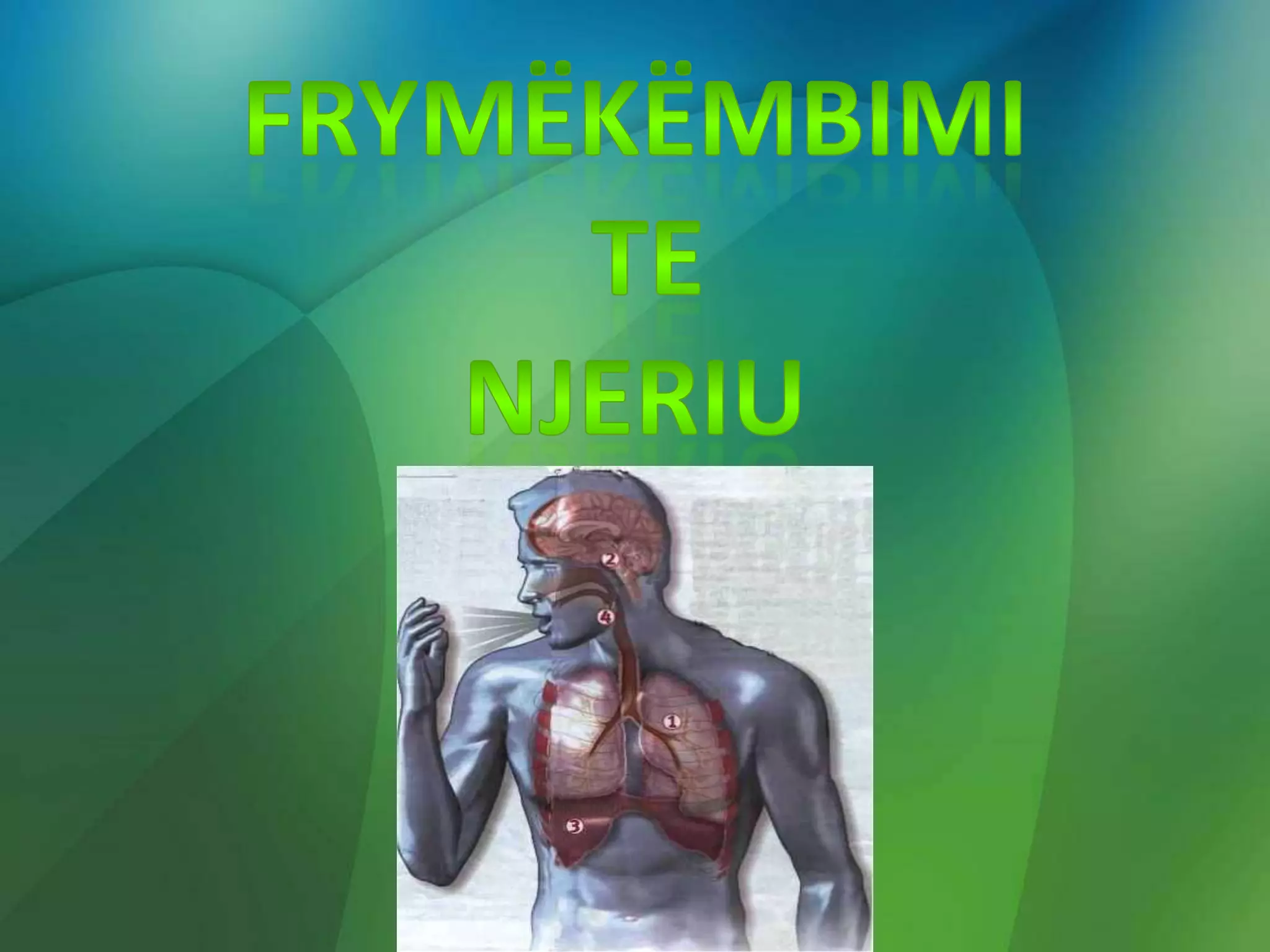 Frymëkëmbimi te njeriu Kei Ushe shkolla"Albanet"klasa VII | PPTX