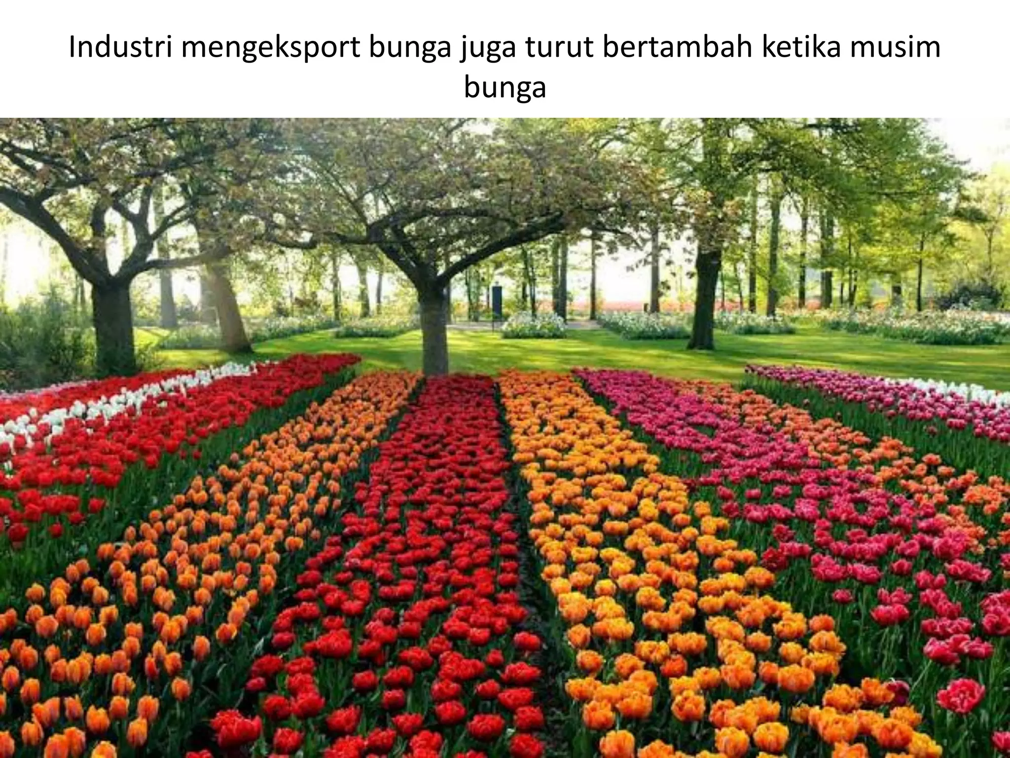 Kejadian Empat Musim.pdf