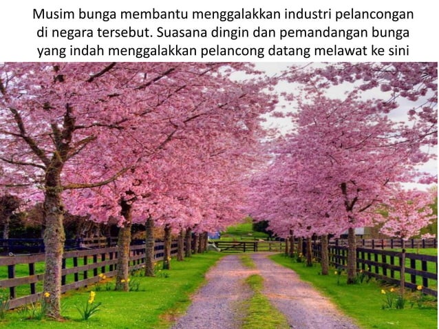 Kejadian Empat Musim.pdf