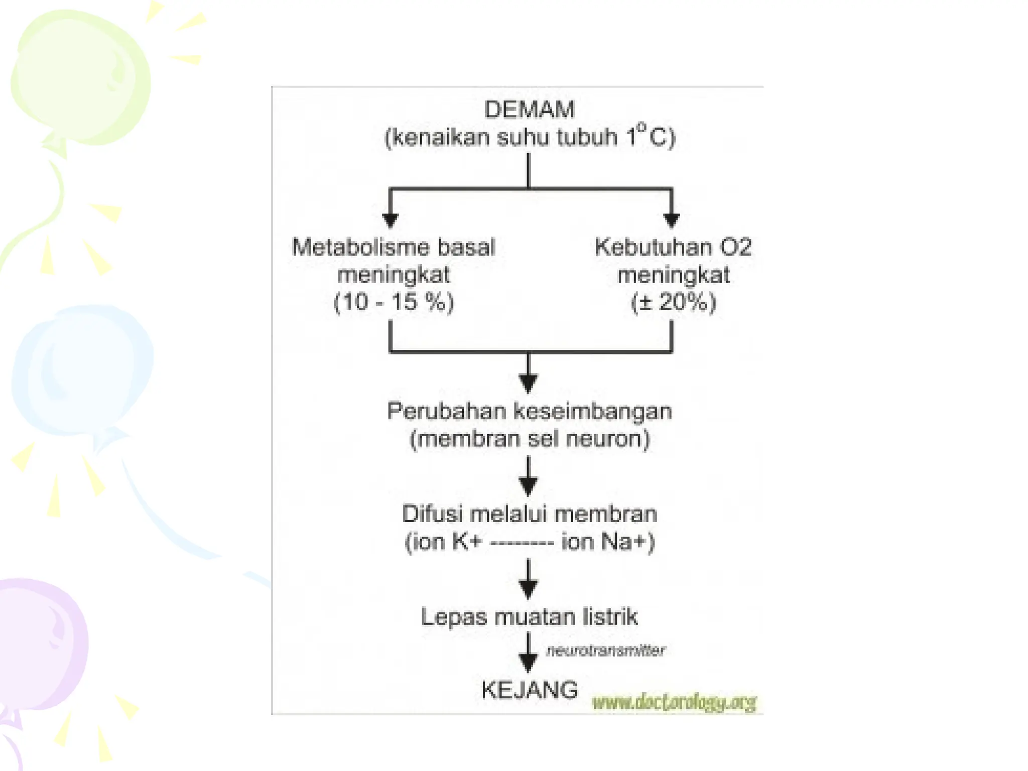 presentasi kasus Kejang Demam Kompleks PPT.ppt
