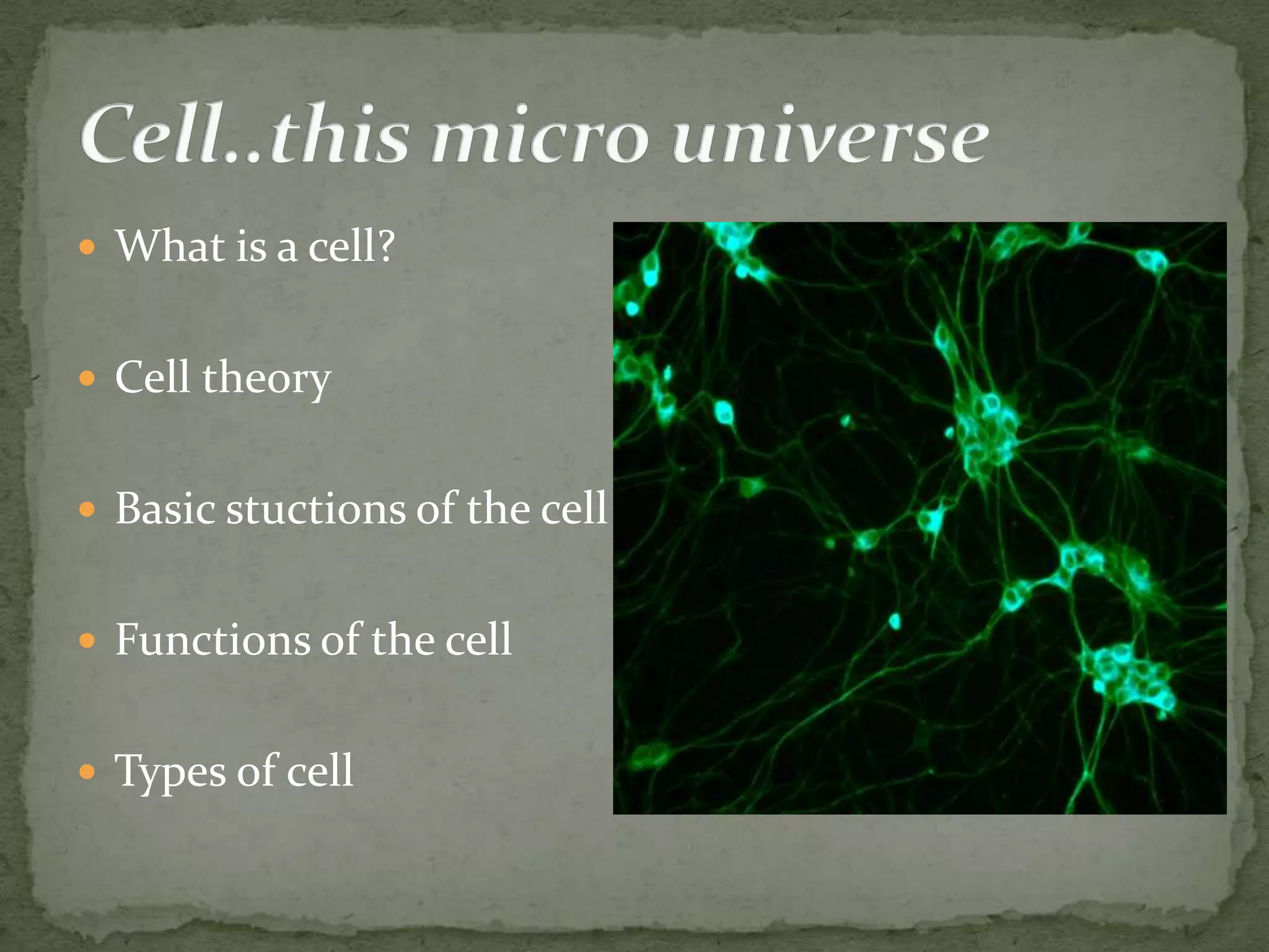 Cell,this micro universe | PPT