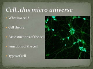 Cell,this micro universe | PPT