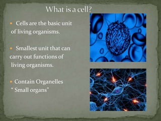 Cell,this micro universe | PPTX