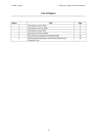 Kekatiya case - Case study report | PDF