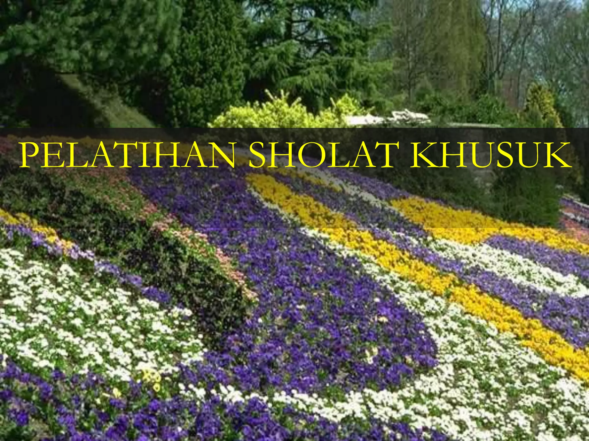 Kekuatan Fikiran Dan Hati (1) | PPT