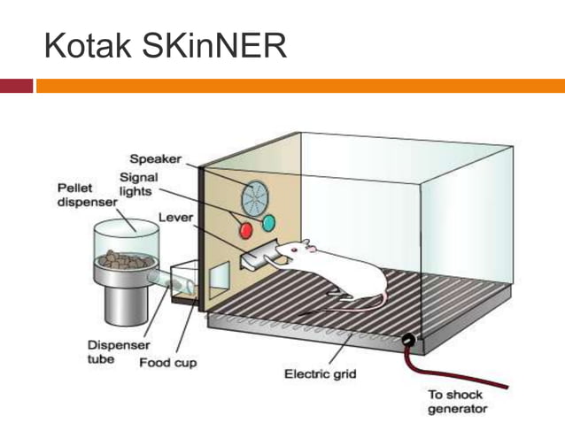 Pngondsian Operan Skinner | PPT