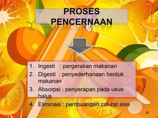 Sistem Pencernaan dan Sirkulasi pada Manusia | PPTX