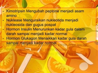 Sistem Pencernaan dan Sirkulasi pada Manusia | PPTX