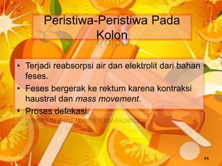 Sistem Pencernaan dan Sirkulasi pada Manusia | PPTX
