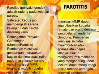 Sistem Pencernaan dan Sirkulasi pada Manusia | PPTX