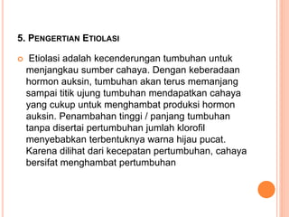Kel. 2 pengaruh intensitas cahaya terhadap pertumbuhan dan perkembangan ...
