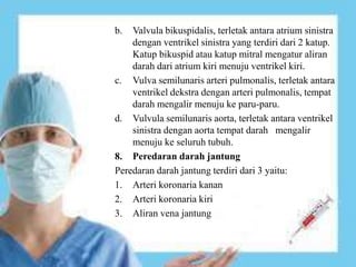 ANATOMI FISIOLOGI JANTUNG | PPTX