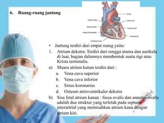 ANATOMI FISIOLOGI JANTUNG | PPTX