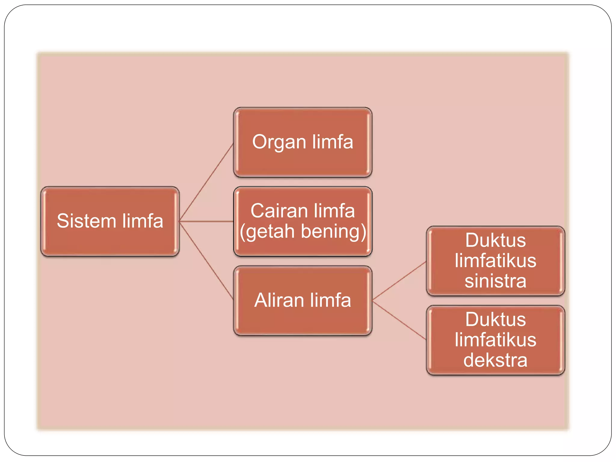 Sistem Sirkulasi Manusia | PPTX
