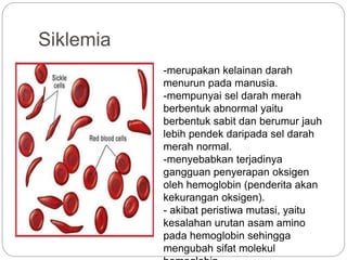Sistem Sirkulasi Manusia | PPTX