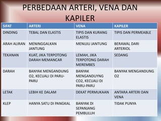 Sistem Sirkulasi Manusia | PPTX
