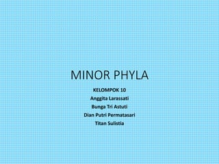 minor phyla | PPTX