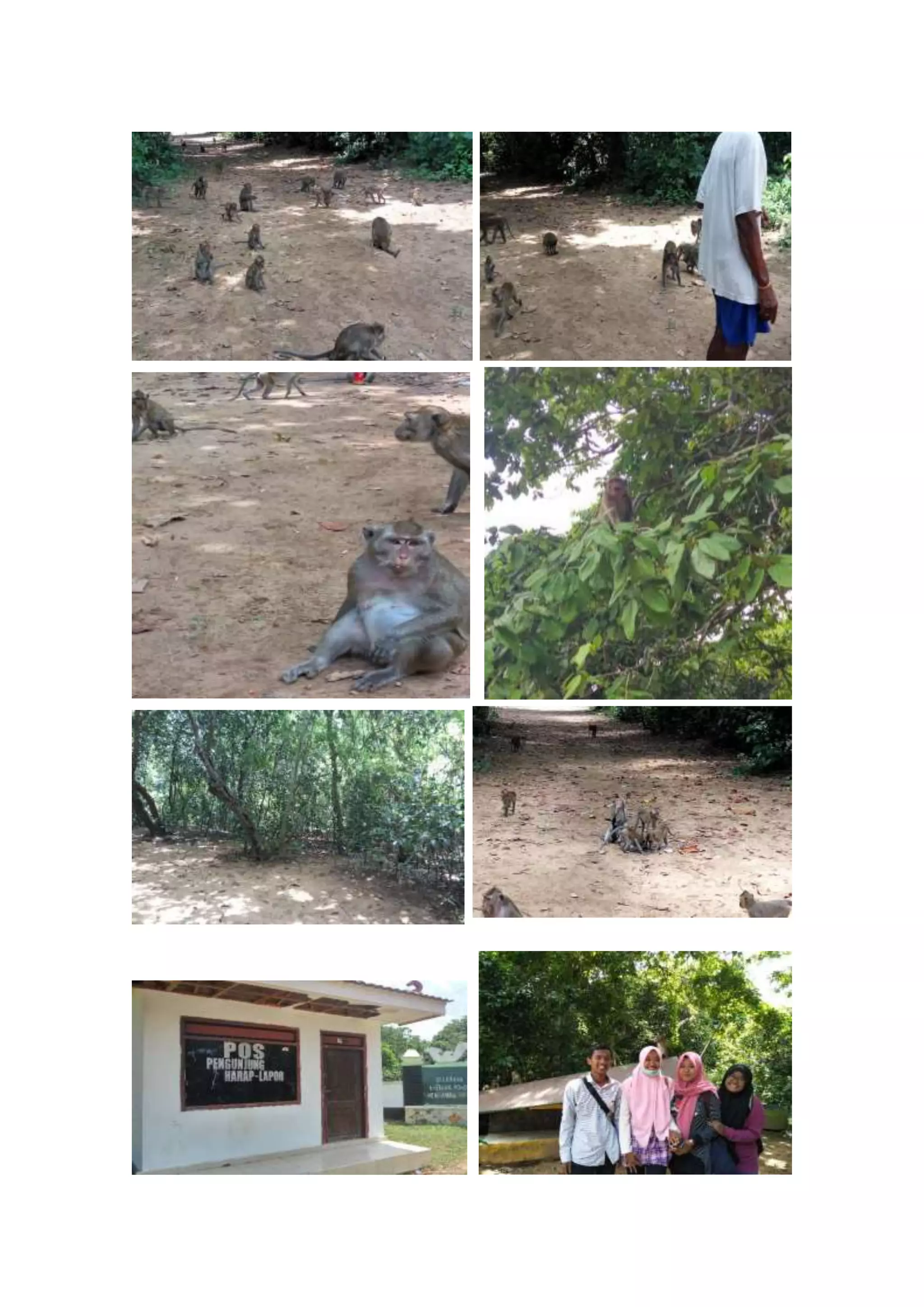 Kel. 7 (nepa) | DOCX