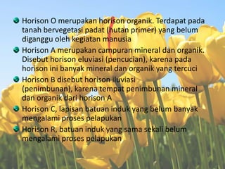 Erosi tanah dan dampaknya terhadap kehidupan | PPTX