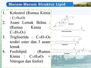 Gambaran Metabolisme Lipid | PPTX