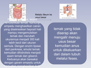 Gambaran Metabolisme Lipid | PPTX
