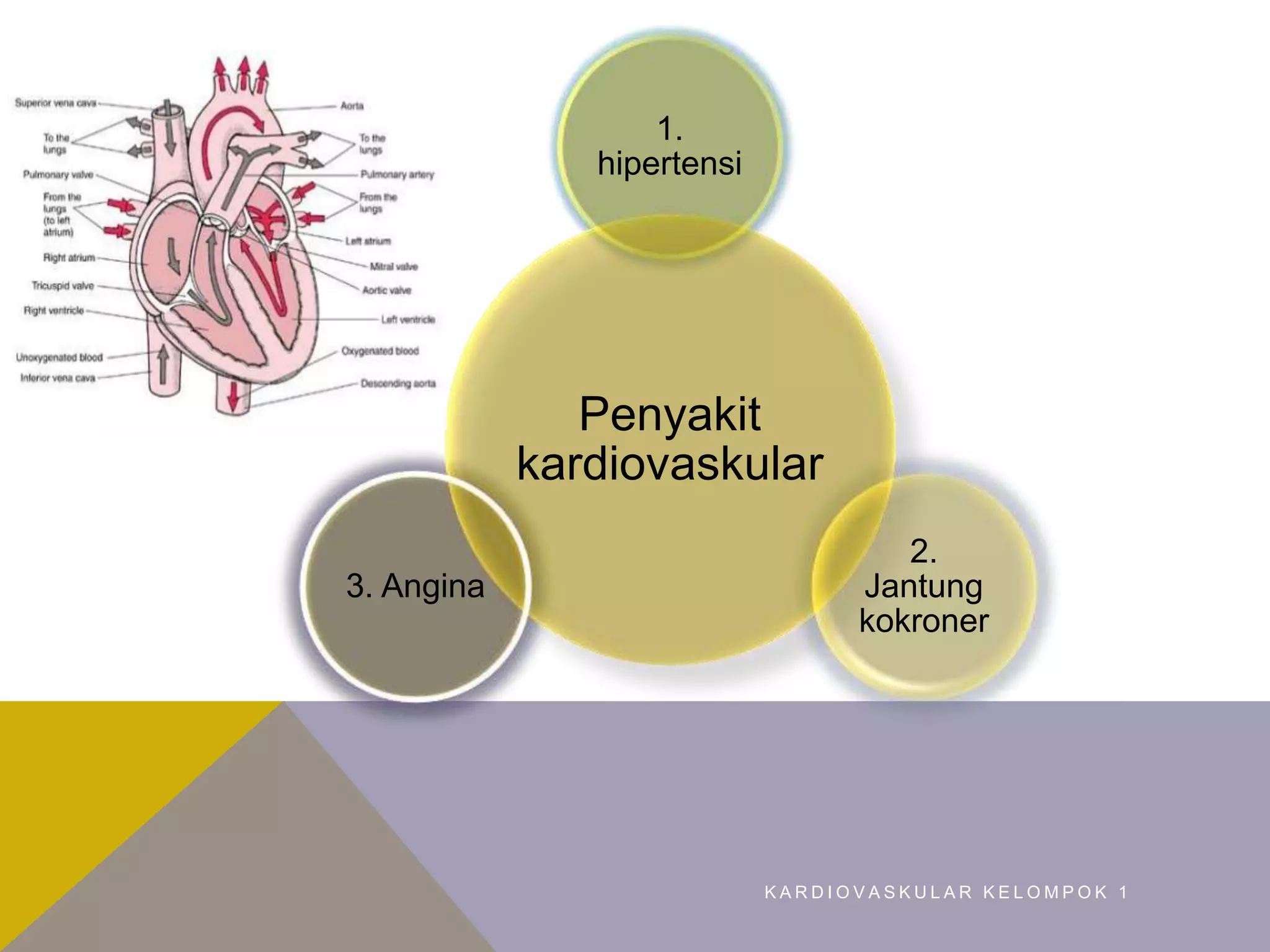 Kardiovaskular CASE STUDY PELAYANAN KEFARMASIAN | PPT