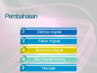 Kel iii migrasi | PPT