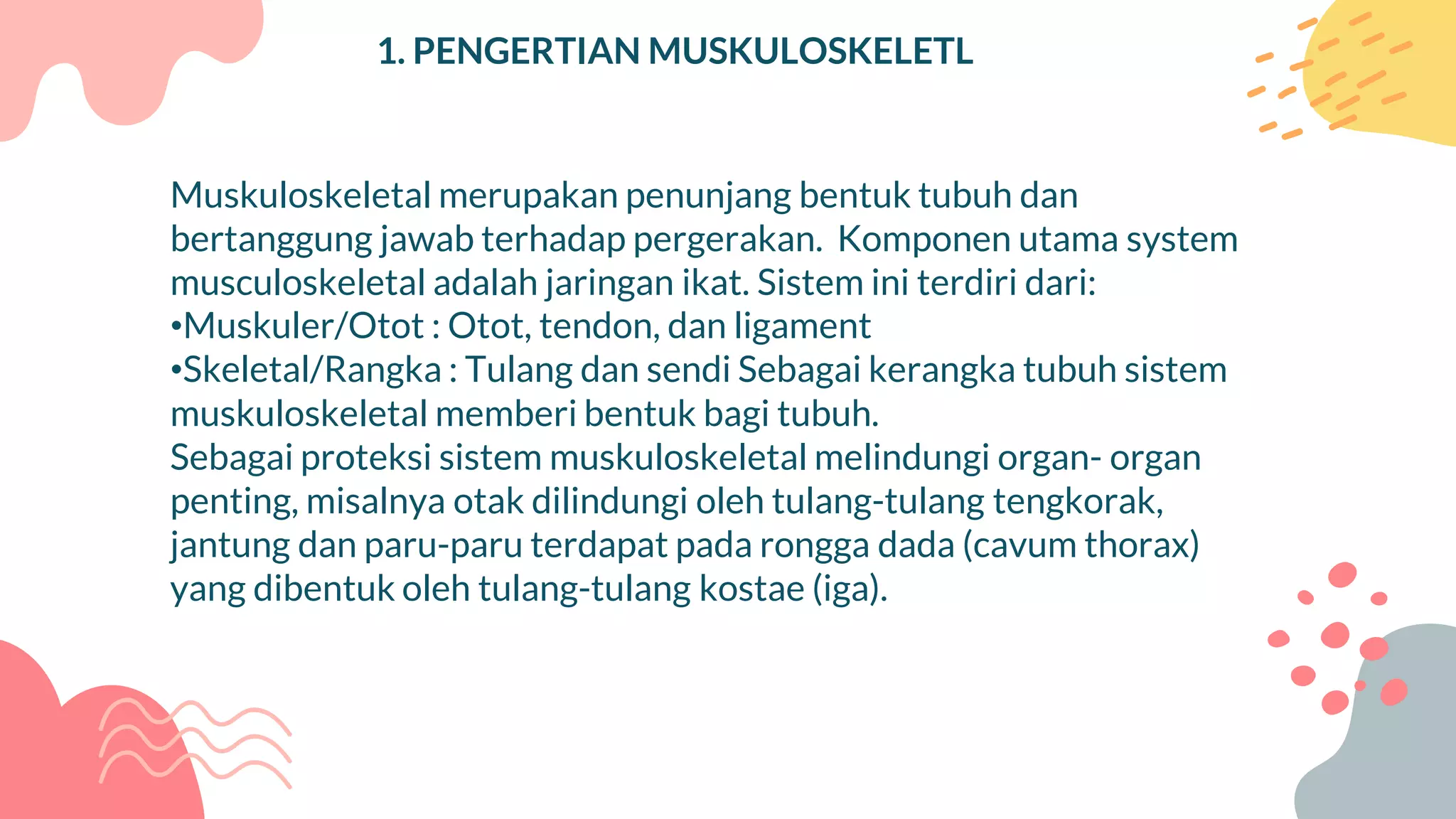 muskuloskeletal | PPT