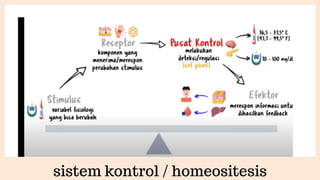 Kel. 2_Glikoneogenesis & Homeostatis.pdf