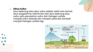 Kel 11 SIKLUS BIOGEOKIMIA - 1D4B.pptx